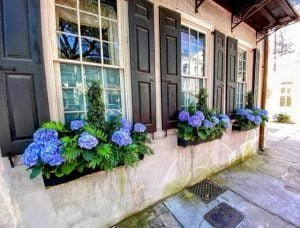 25 Gorgeous Window Box Ideas
