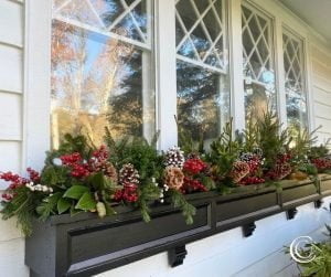 25 Gorgeous Window Box Ideas