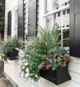 25 Gorgeous Window Box Ideas