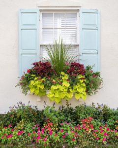 25 Gorgeous Window Box Ideas