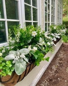25 Gorgeous Window Box Ideas
