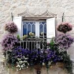 25 Gorgeous Window Box Ideas