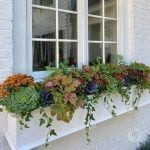 25 Gorgeous Window Box Ideas