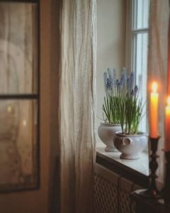 25 Classy Window Sill Ideas