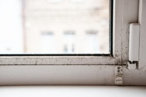 How to Clean Window Sills Inside: Effective Techniques & Useful Tips