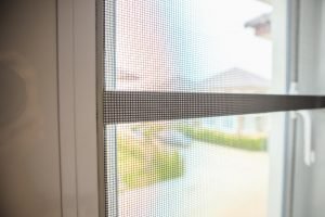 What Are Window Screens Made Of? Material Guide for Maximum Protection