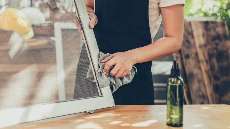 How to Prevent Bugs from Coming Through Window: Effective Tips & Solutions