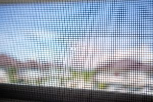 What Are Window Screens Made Of? Material Guide for Maximum Protection