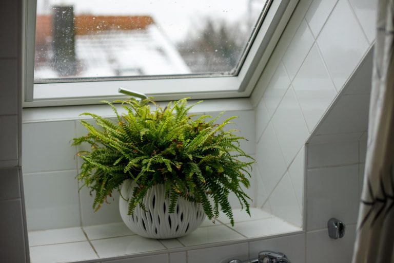 Hopper Window Explained: Features, Benefits & Installation