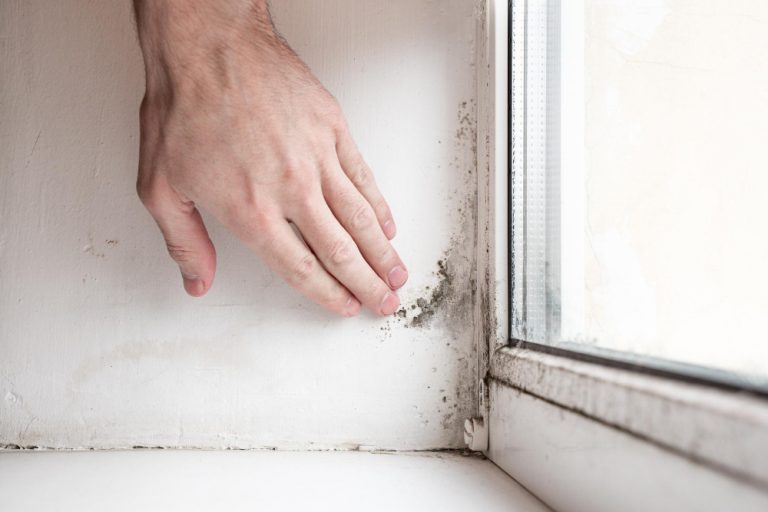 Effective Guide on Removing Moisture Between Window Panes: Step-by-Step ...
