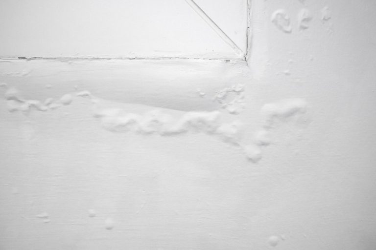 Can You Paint Vinyl Window Frames? - Expert Guide on Pros & Cons