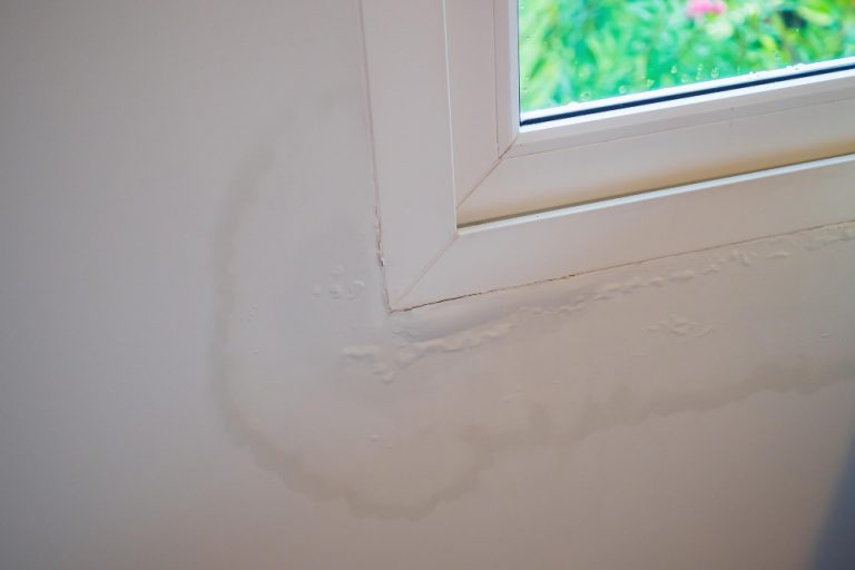 Leaking Window Solutions: Who to Call for Expert Repairs