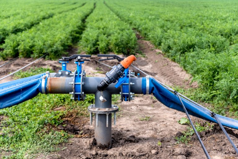 5 Steps to Choose Your Monarch Water Pump Easily