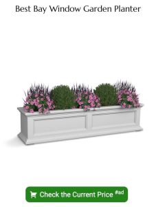 15 Inspiring Bay Window Garden Ideas to Enhance Your Home