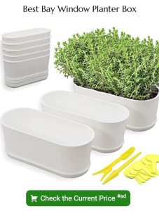 15 Bay Window Landscaping Ideas Guaranteed to Transform Your Space