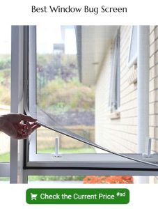 How to Prevent Bugs from Coming Through Window: Effective Tips & Solutions