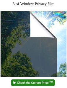 15 Creative Office Window Privacy Ideas