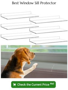 Understanding the Window Sill: Definition, Types, and Functions